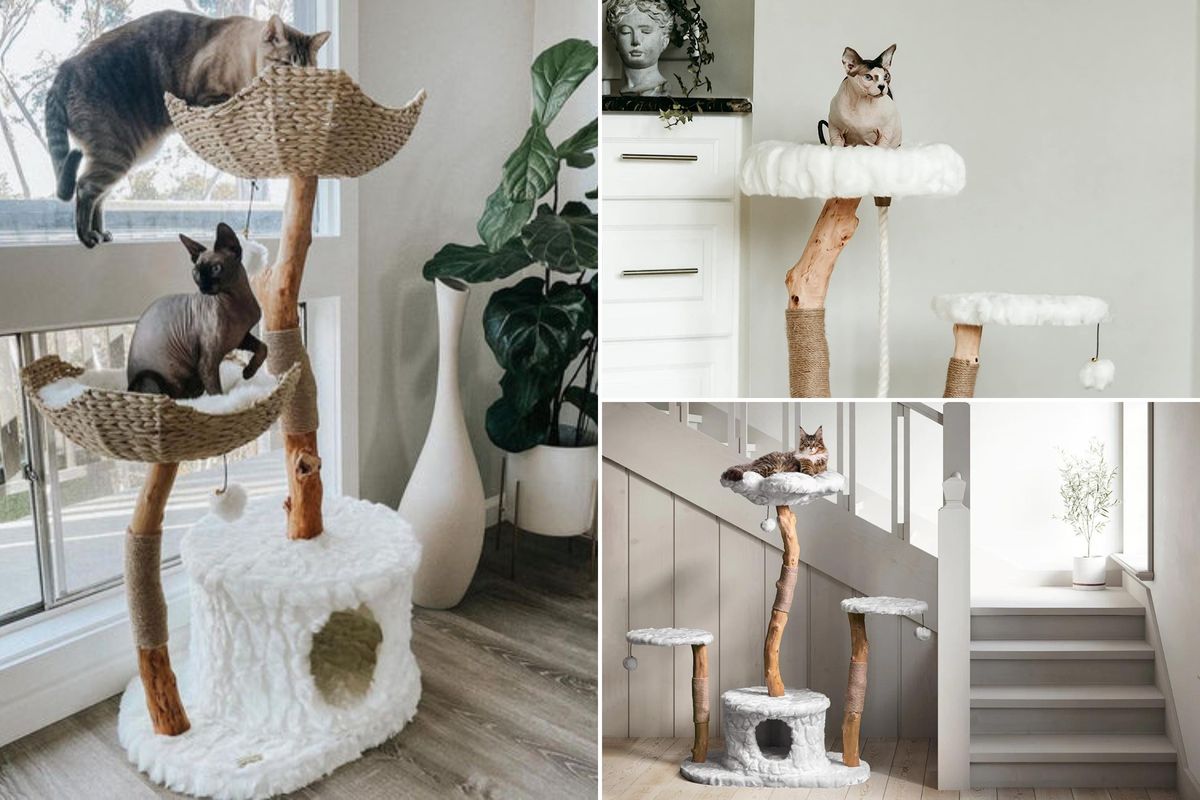 The Right Mau Cat Tree For Your Cat: 4 Smart Designs!